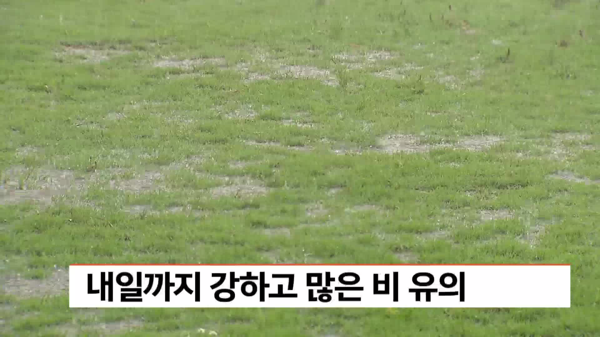 내일까지 강하고 많은 비 유의 