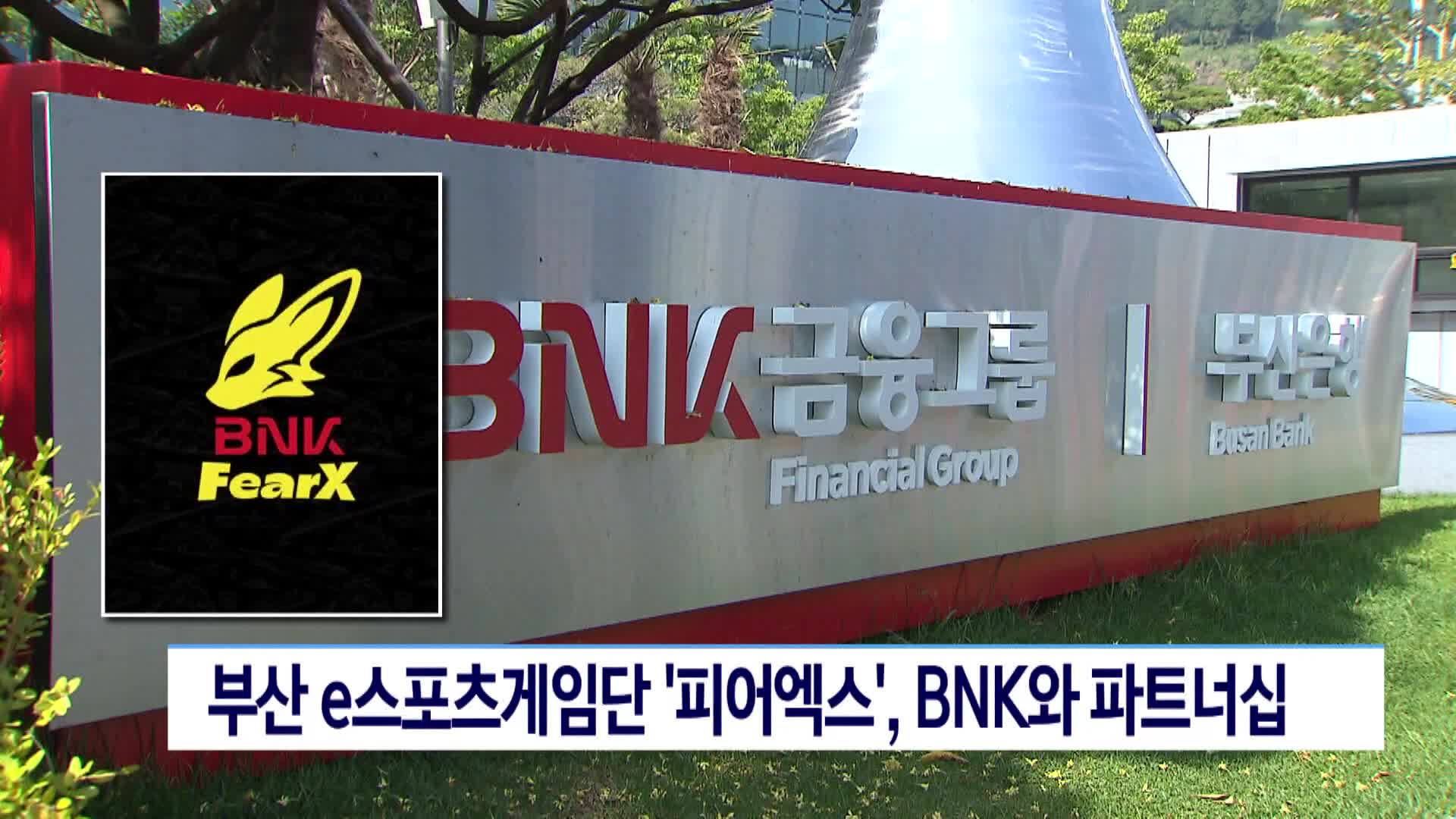 부산 e스포츠게임단 '피어엑스', BNK와 파트너십