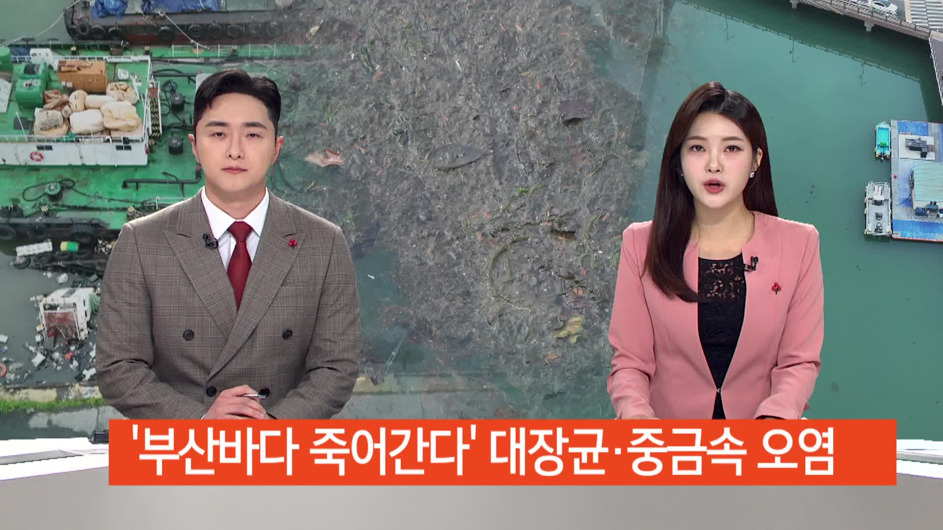 부산경남대표방송 KNN 통합검색