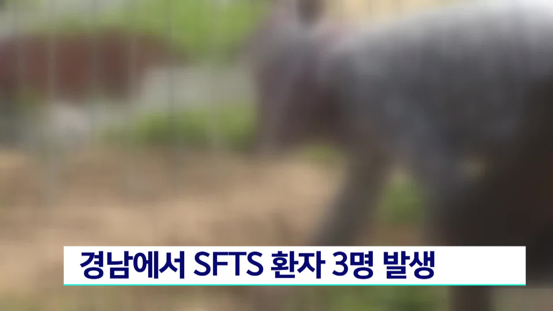 경남에서 이달에만 SFTS 환자 3명 발생