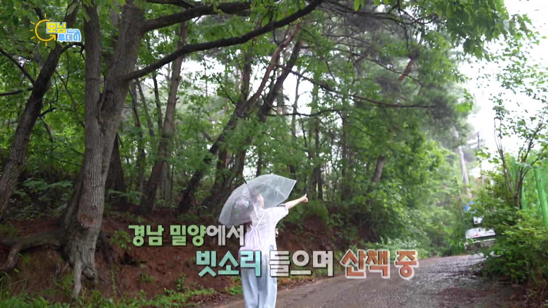 여름의 보랏빛 세계